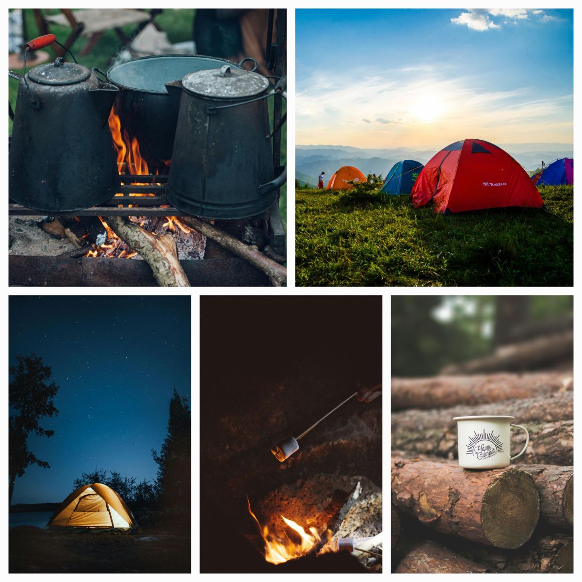 Culinary Camping Adventure: Gastronomic Delights Around the Campfire – Pebble's Galaxy