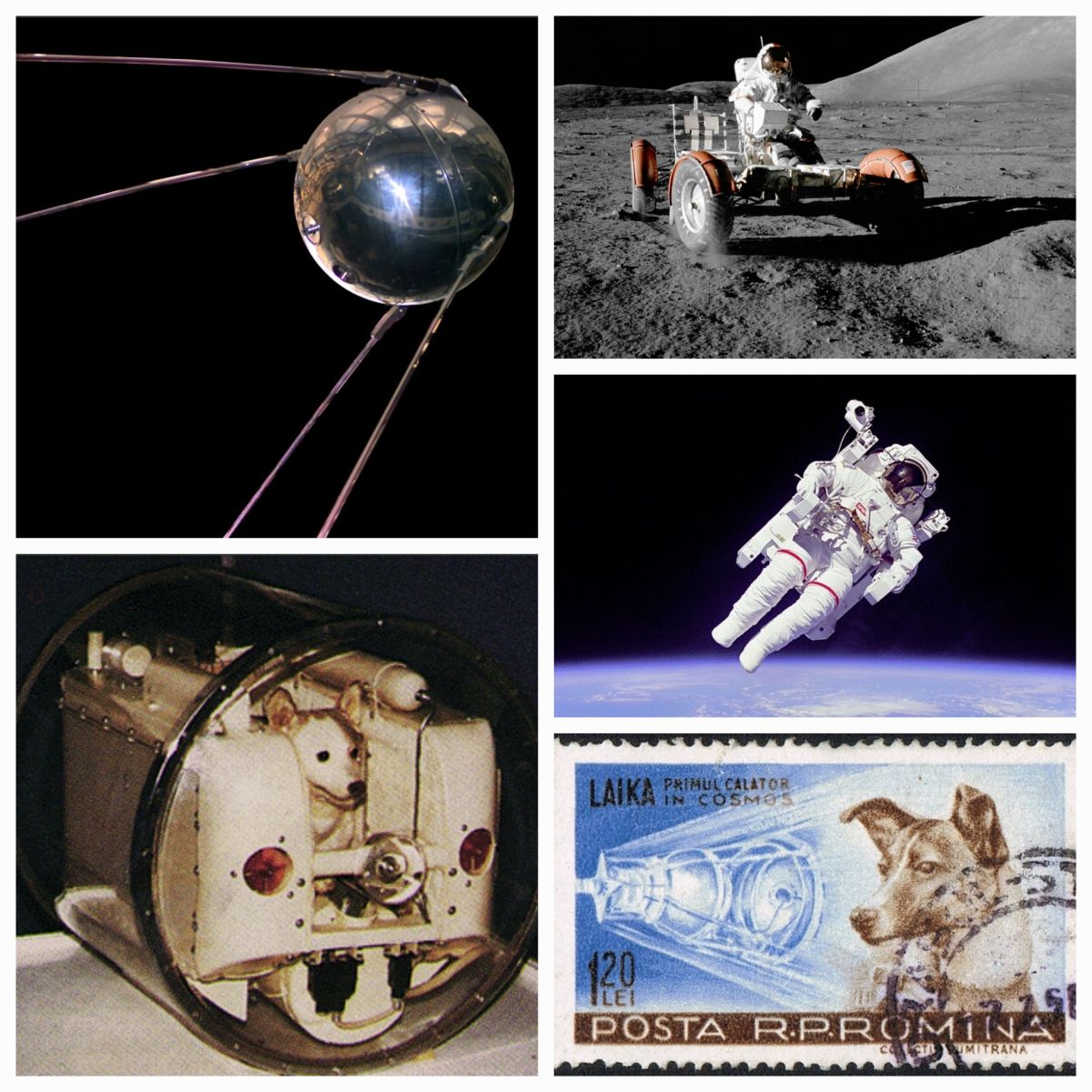 Reaching Beyond Earth: How the Space Race Redefined Humanity’s Quest ...