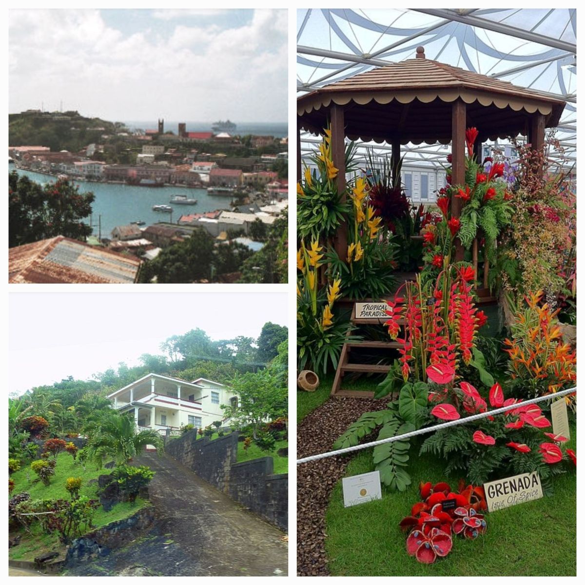 Discovering the Heart of Grenada: The Life and Legacy of Isabella Grace ...
